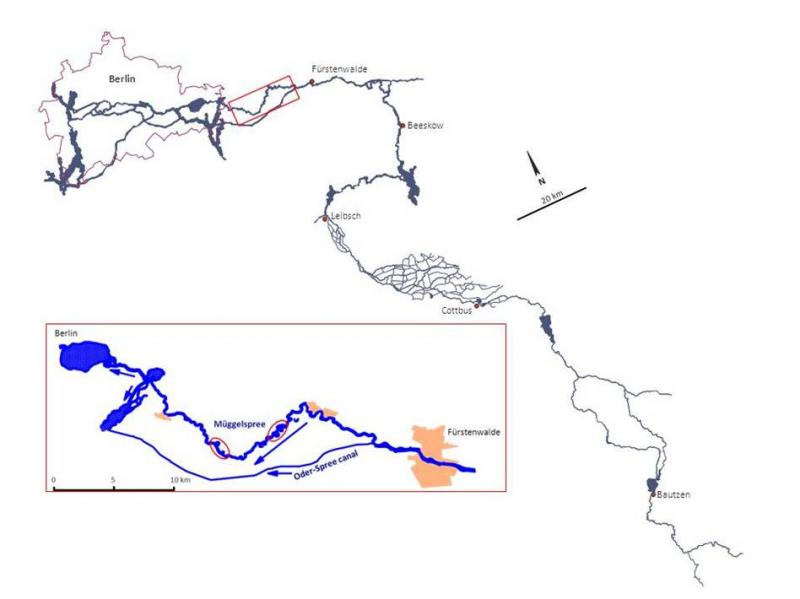 Re-meandering lowland rivers – the case study River Spree (Germany ...